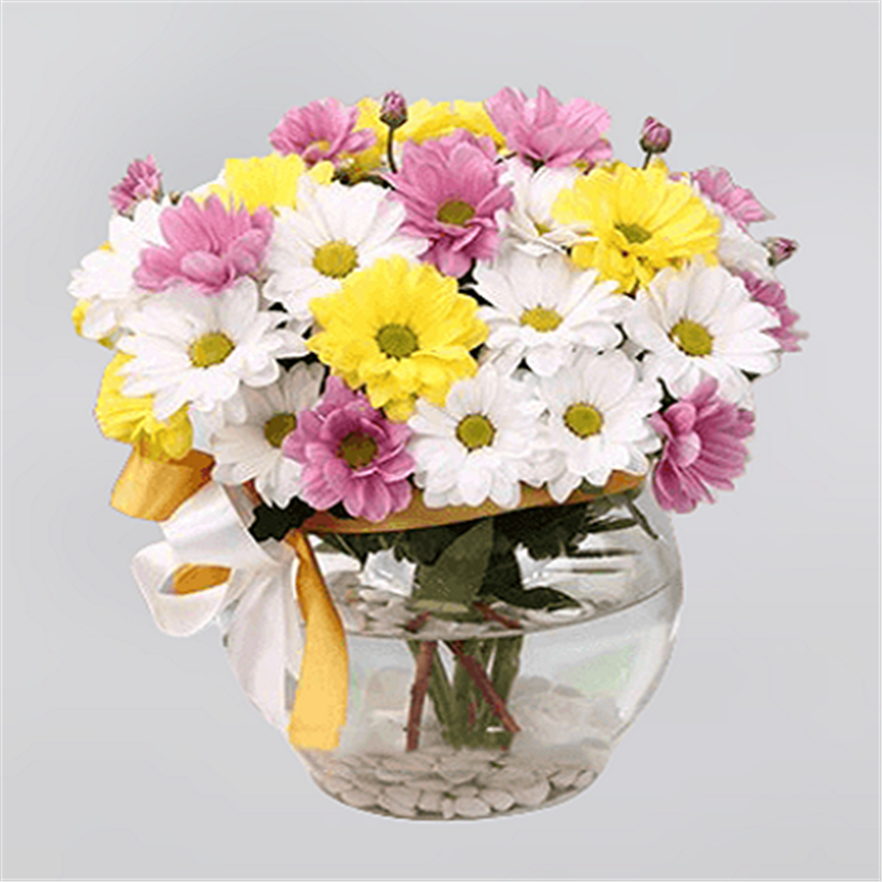 Mutlu Günler Cam Fanusta Kır Çiçekleri - Papatyalar - Fikirtepe Çiçekçi